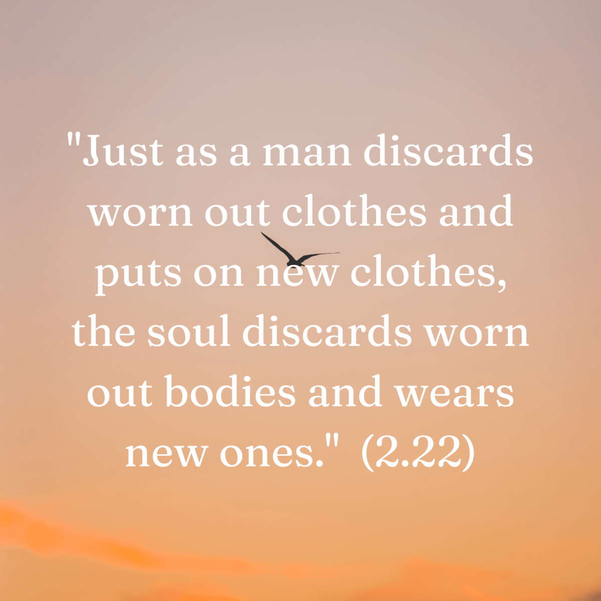 What Does Rain at a Funeral Mean? | Safe Passage