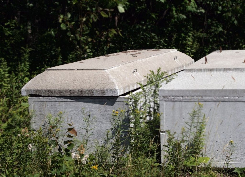 Burial Archives | Safe Passage
