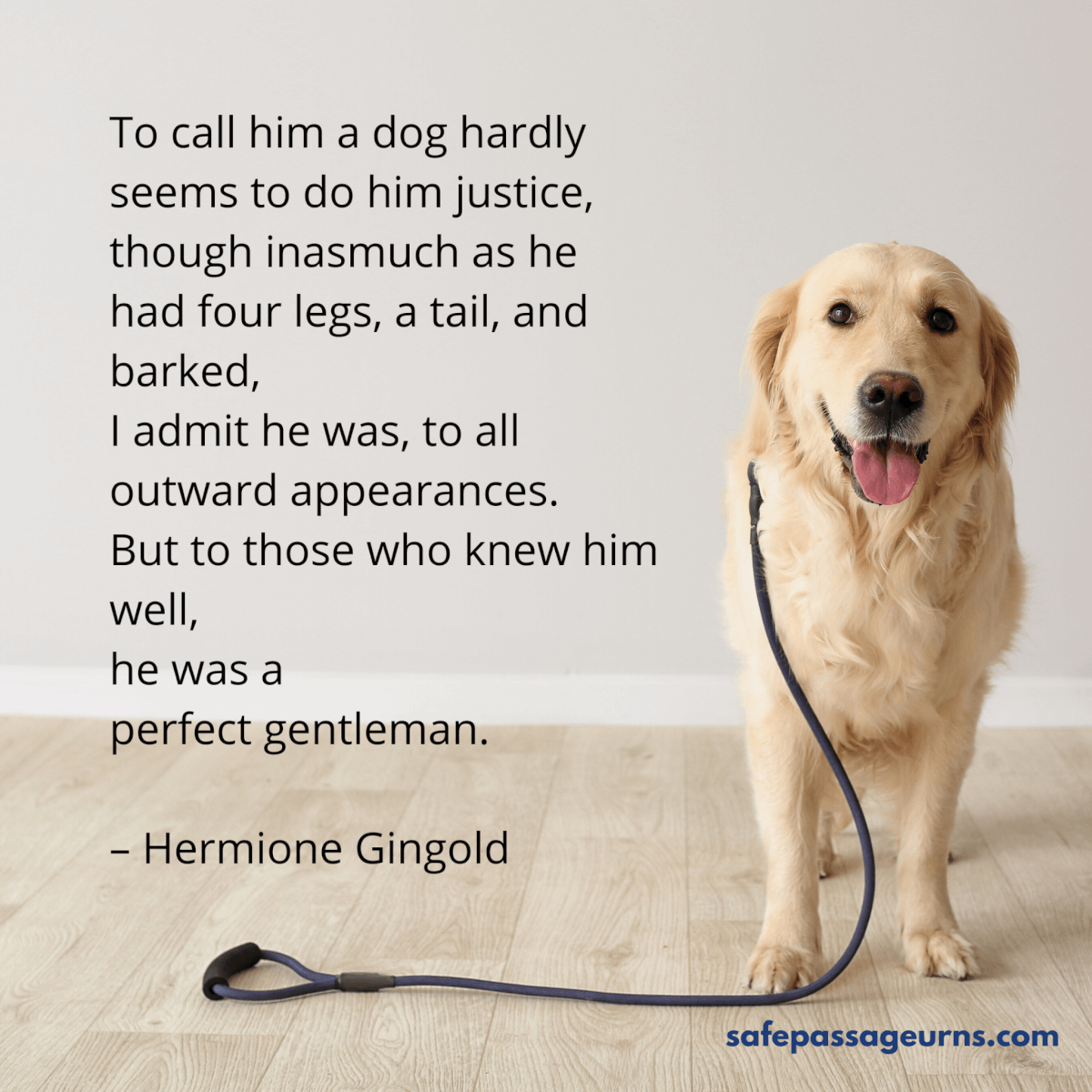 15 Touching Pet Loss Quotes And Poems | Safe Passage